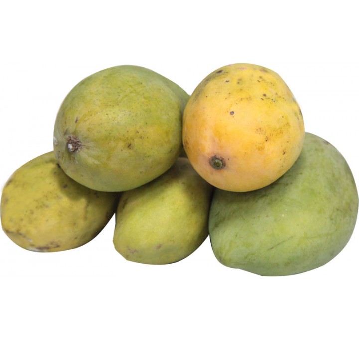 المانجو - مانجو عويس عمر ثلاثة سنوات ونص